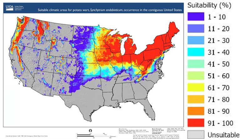 USDA: Extent of PEI Potato Wart Crisis Likely Larger, Current ...