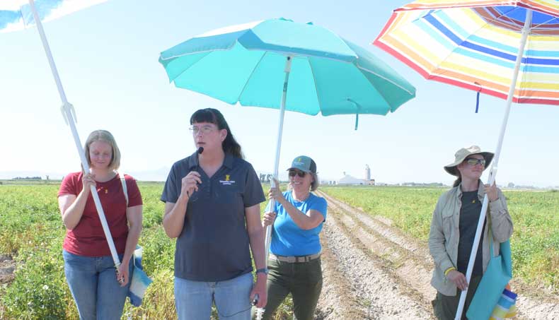 2024 Potato IPM Field Day Set for August 22 - Potato Country
